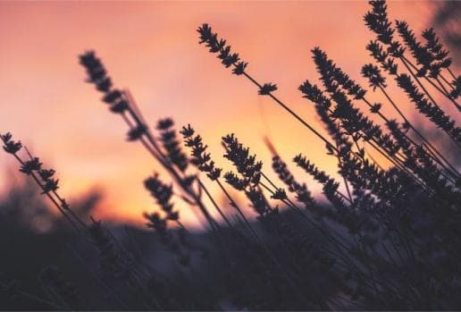 Quelques façons simples de profiter de la solitude - Instants Présents Quelques façons simples de profiter de la solitude - Instants Présents